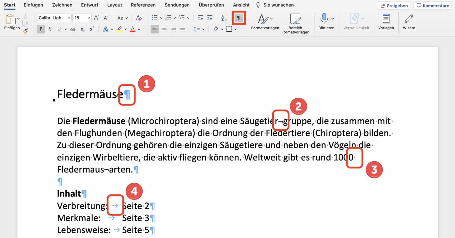 Selbsttest Text (macOS) – digibasics