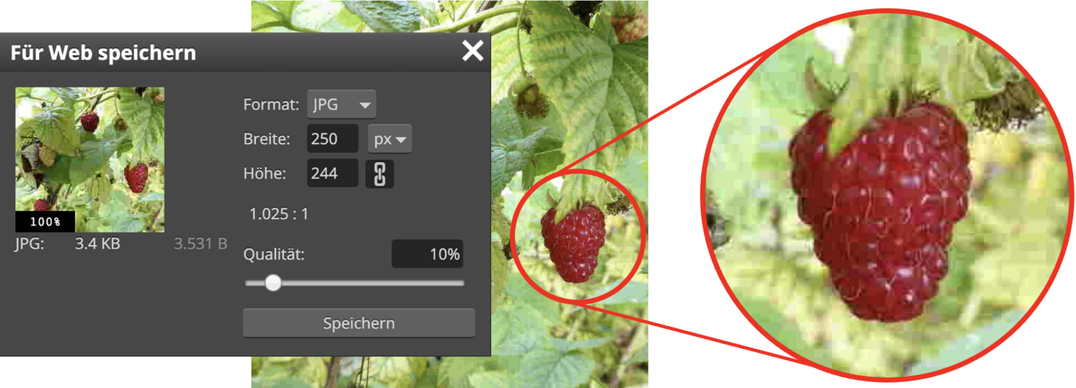Selbsttest Bild – digibasics
